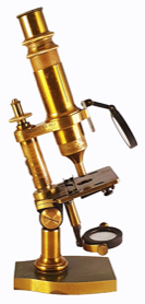 Collection of antique microscopes and other scientific instruments